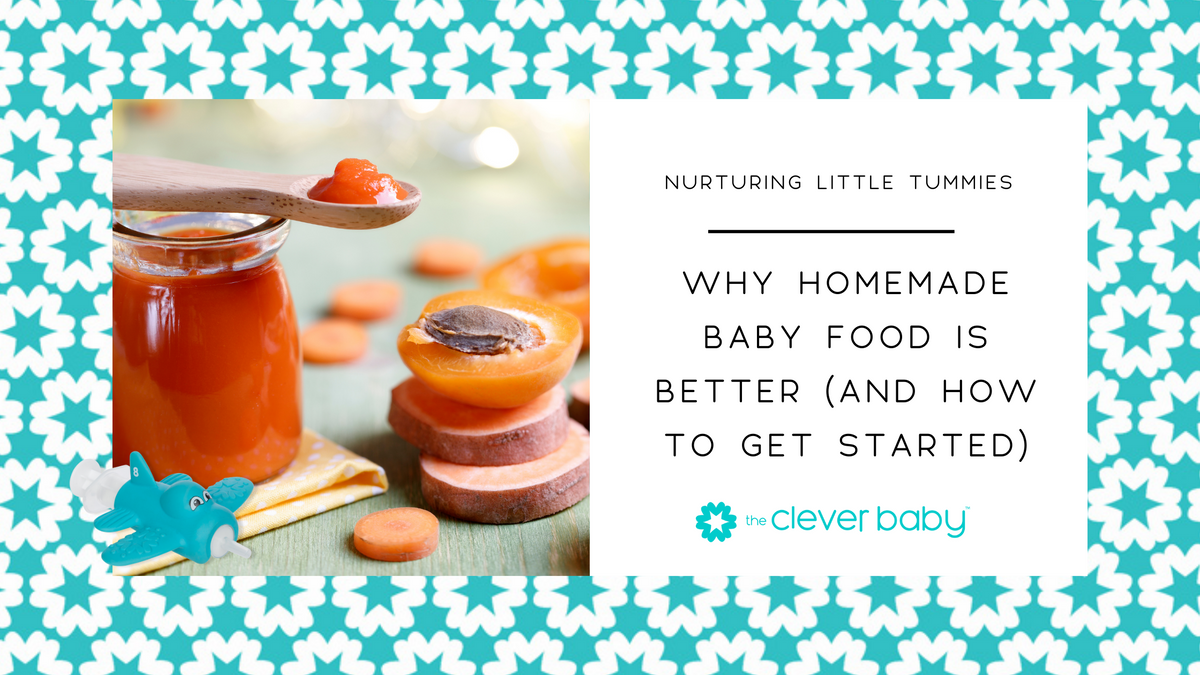 Why Homemade Baby Food is Better (And How to Get Started) – The Clever Baby