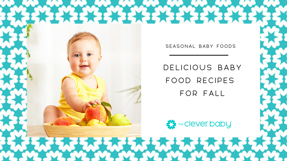Seasonal Baby Foods: Delicious Recipes for Fall – The Clever Baby