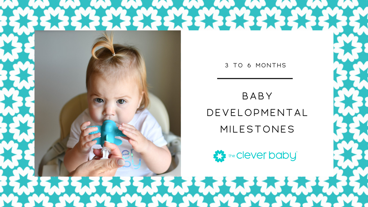 Baby Developmental Milestones: 3 to 6 months – The Clever Baby