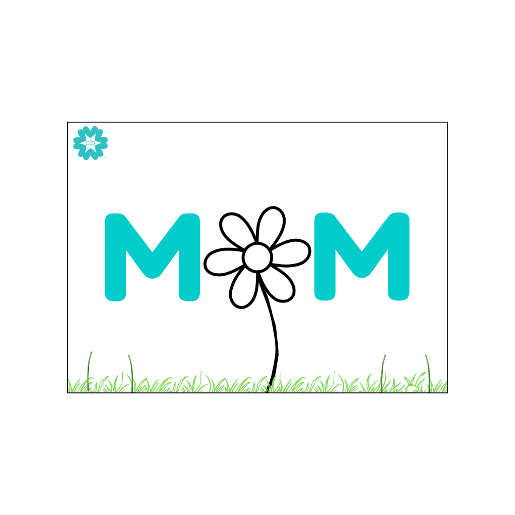 Teether and Dispenser All in One! – The Clever Baby